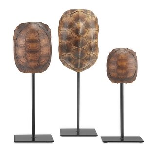 Currey & Company Turtle Shells Set of 3 - Bed Bath & Beyond - 37053587