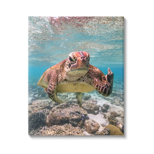 Stupell Angry Turtle Middle Finger Canvas Wall Art Design by Mark ...