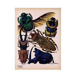 Print Collection 'Insects Plate 7' Canvas Art - Bed Bath & Beyond ...