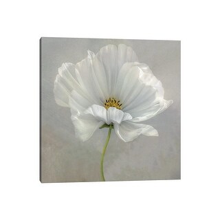 iCanvas "Daisy Detail II" by Mandy Disher Canvas Print - Bed Bath ...