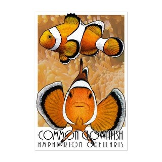 Common Clownfish Ocellaris clownfish Illustrations Art Print/Poster ...