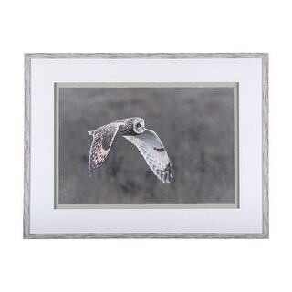 Owl in Flight Framed Art Print - Bed Bath & Beyond - 39198793