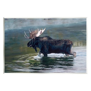 Stupell Moose Lake Ripples Splashing Wall Plaque Art by David Graham ...