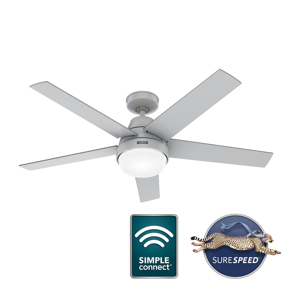 Transitional Hunter Fan Indoor Ceiling Fans - Bed Bath & Beyond