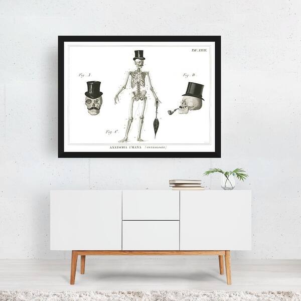 Dandy Bones Illustrations Anatomy Figurative Skull Art Print/Poster ...