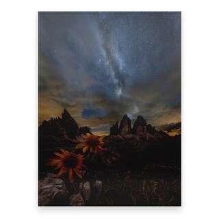 Mandy Disher 'Helenium Pink Flowers' Floating Brushed Aluminum Art ...