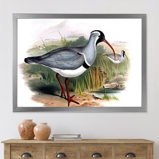 Designart "Vinage Countryside Animals VI" Farmhouse Framed Art Print ...