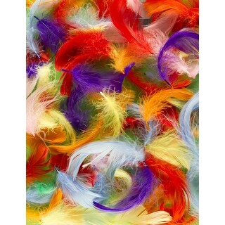 Feathers Gallery Wrap - 48x36x2 inches - Bed Bath & Beyond - 38216470