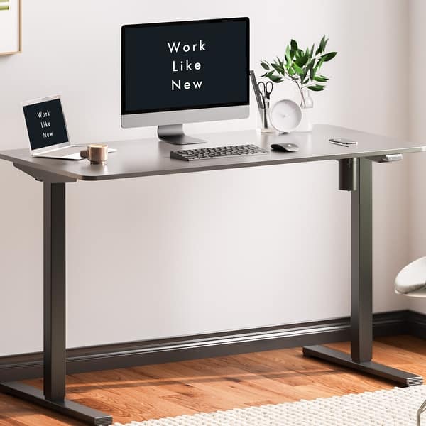 FlexiSpot Electric Standing Desk Whole-Piece Desk Board Computer Desk ...