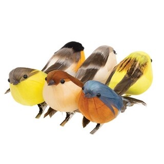 Feathered Spring Bird Clips in 6 Assorted Colors for Decorative Display ...