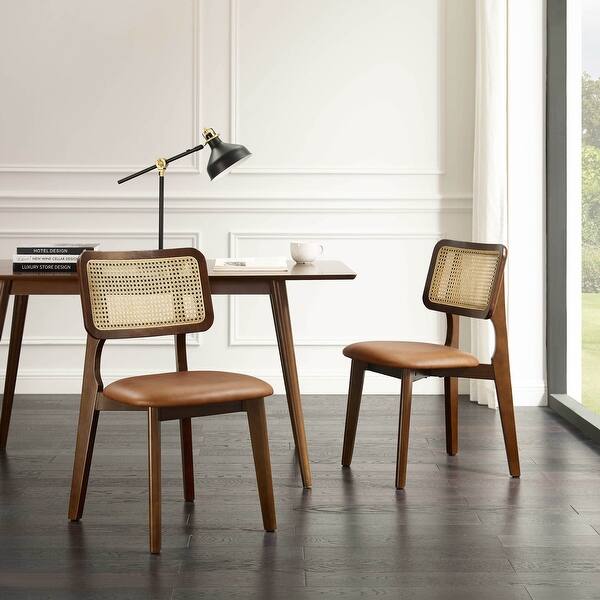 Art Leon Cane Backrest Leather Dining Chairs (Set of 2) - On Sale - Bed ...