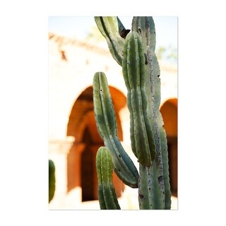 San Juan Capistrano California Cactus at the Mission Art Print/Poster ...