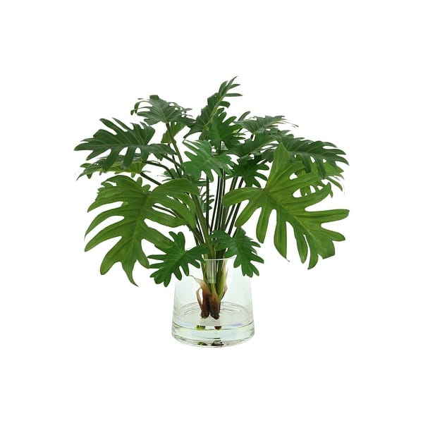 Split Philo Leaf Arrangement in a Clear Glass Vase - Green - Bed Bath & Beyond - 39876292