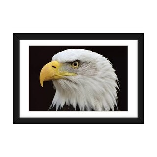 iCanvas "Bald Eagle Head" by Michael Fitzsimmons PFA - Bed Bath ...