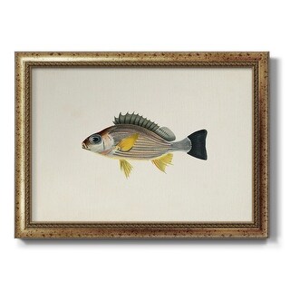 Tropical Fish Collection III Premium Framed Canvas- Ready to Hang - Bed ...