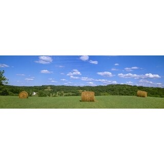 Agriculture Dried Round Grass Hay Bales In The Field With A Barn In The ...