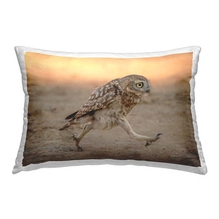 Stupell Running Owl at Sunset Design by Shuli Greenstein - Bed Bath ...