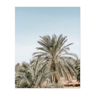 Atar Adrar Mauritania Photography Landscape Plant Art Print/Poster ...