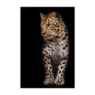 A calm and confident leopard looks condescendingly Art Print/Poster ...