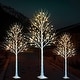 Set of 3 Lighted Birch Tree 4FT 5FT and 6FT, LED Artificial Tree with ...