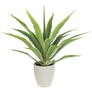 32" Artificial Agave Plant with Cement Pot - Bed Bath & Beyond - 37772457