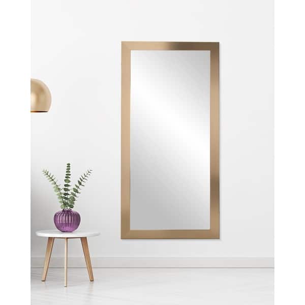 Contemporary Champagne Full Length Mirror - Bed Bath & Beyond - 20456522