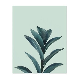 Teal Mint Plant Photography Bohemian Botany Flower Art Print/Poster ...