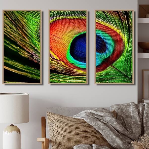 peacock feather frame