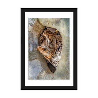 iCanvas "Red Phase Eastern Screech Owl" by Sandra Rust PFA - Bed Bath ...
