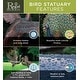 Regal Art & Gift 44 Inch Goofy Bird Stake - Peacock - Bed Bath & Beyond ...