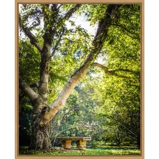 A Place to Ponder Framed Canvas Wall Art Print - Bed Bath & Beyond ...