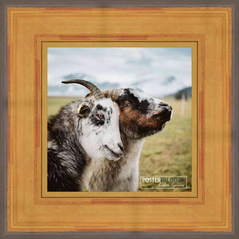 18x18 Traditional Gold Complete Wood Square Picture Frame with UV ...
