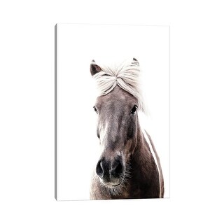 iCanvas "Iceland Horse Lucy I" by Monika Strigel Canvas Print - Bed ...