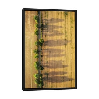 iCanvas "Magic Road - Summer In Poland" by Mikolaj Gospodarek Framed ...