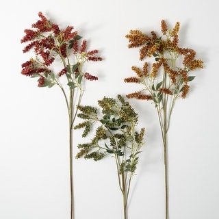 43"H Sullivans Dried Hops Stems - Set of 3, Multicolored - 14"L x 3"W x ...