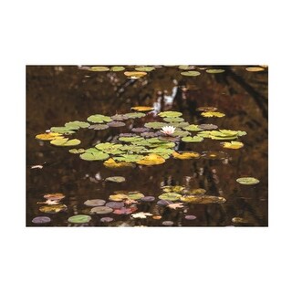 Kurt Shaffer Photographs 'The Frog And Lotus' Canvas Art - Bed Bath ...