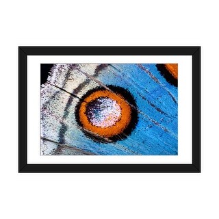 iCanvas "Butterfly Wing Macro-Photography XVIII" by Darrell Gulin - Bed ...