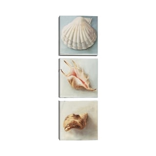 iCanvas "Shell Selection I" by Milieu du Ciel 3-Piece Canvas Wall Art ...
