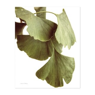 Ginko Color on White Photography Floral Botanical Art Print/Poster ...