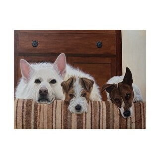 Steve Crockett 'Pet Portrait Of 3 Dogs' Canvas Art - Bed Bath & Beyond ...