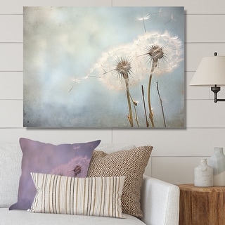 Designart "White Dandelion Farmhouse Still Life " Dandelion Wall Art ...