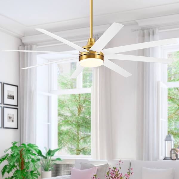 65 Inch Gold Modern Ceiling Fan with Light Remote(8-Blade) - On Sale ...
