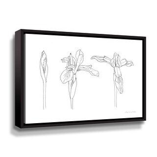 Sketched Iris Floater-Framed Gallery Wrapped Canvas - Bed Bath & Beyond ...