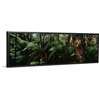 "Trees in a forest, Hawaii Volcanoes National Park, Hawaii" Black Float ...