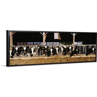 "Dairy Cows " Black Float Frame Canvas Art - Bed Bath & Beyond - 25510379