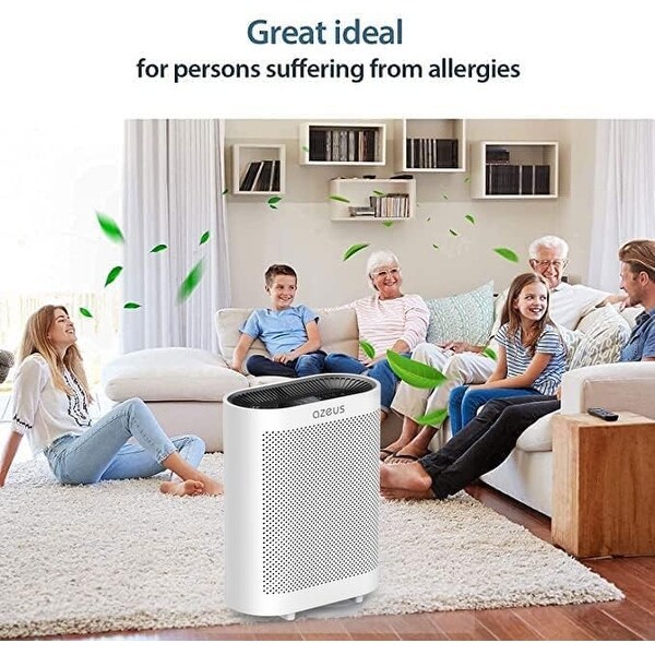Hepa air purifier for pet dander store
