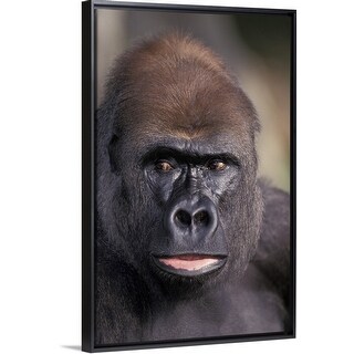 "Head Shot of a Gorilla" Black Float Frame Canvas Art - Bed Bath ...
