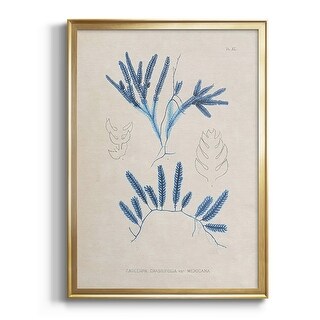 Blue Marine Algae I Premium Framed Print - Ready to Hang - Bed Bath ...