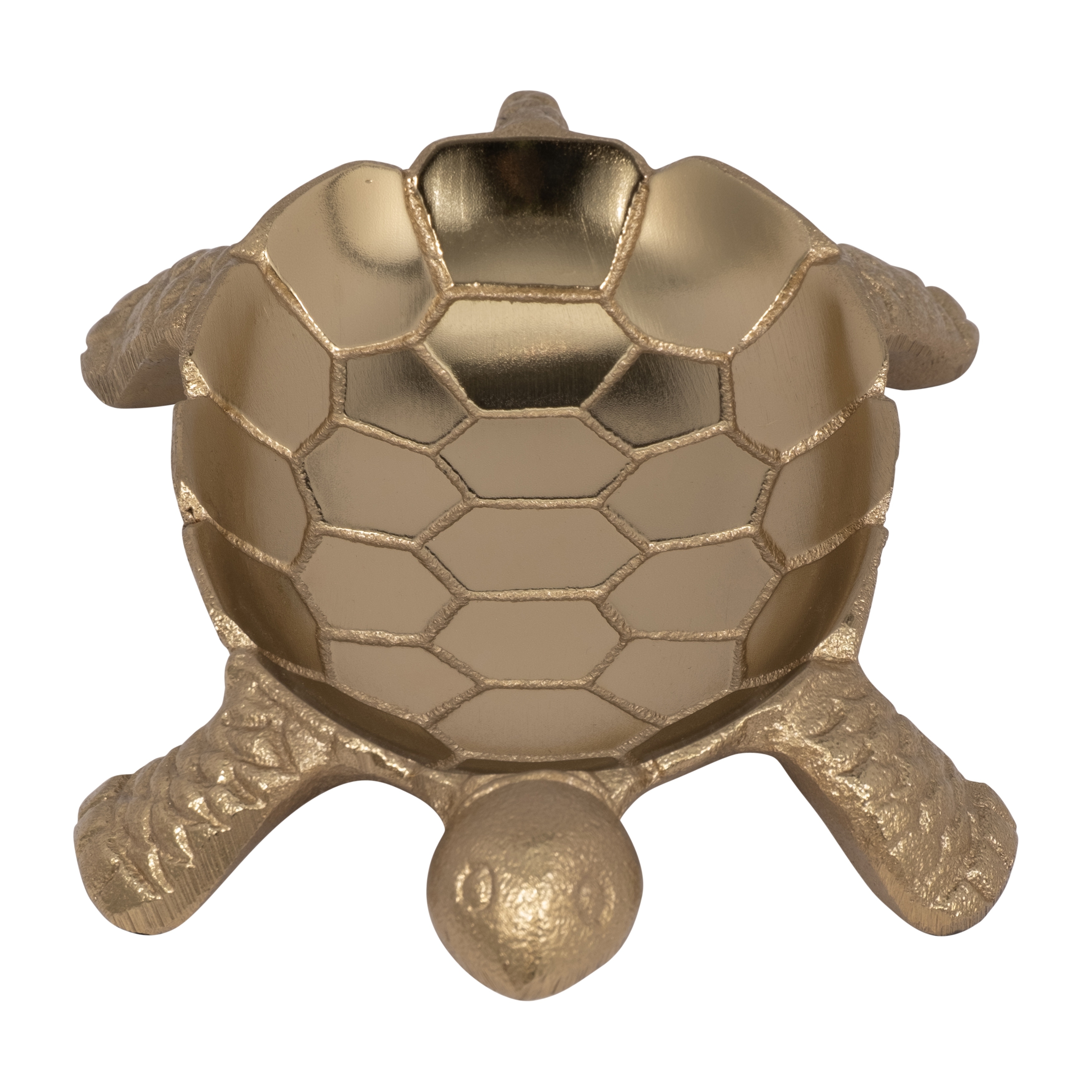 turtle setup trinket