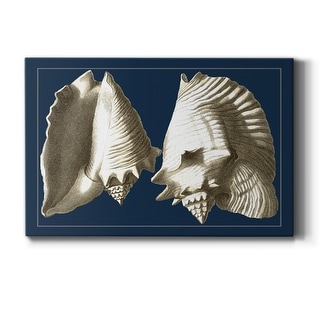 Conch Shells on Navy I Premium Gallery Wrapped Canvas - Ready to Hang ...